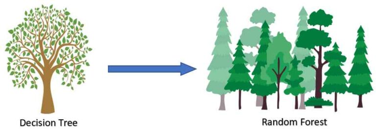 Random Forest là gì? Vai trò, ứng dụng rừng ngẫu nhiên trong ML
