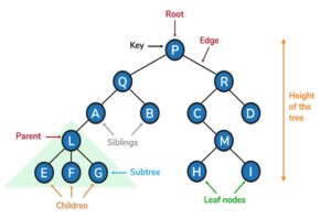 Cấu trúc dữ liệu Tree (Cây): Định nghĩa, Phân loại & Ứng dụng