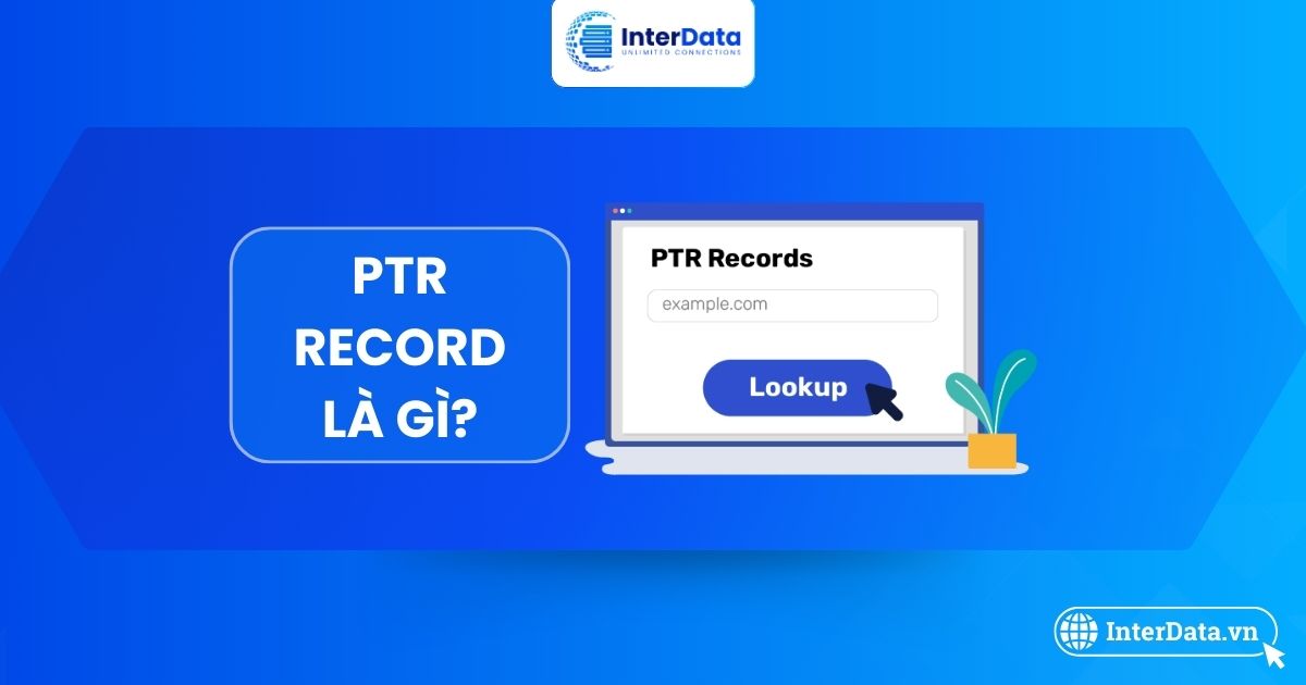 PTR Record là gì? Vai trò, So với với A Record và AAAA Record