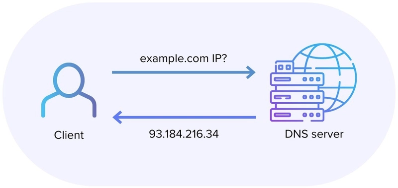 Reverse DNS là gì? Dùng làm gì? Vai trò & Cách check Reverse DNS