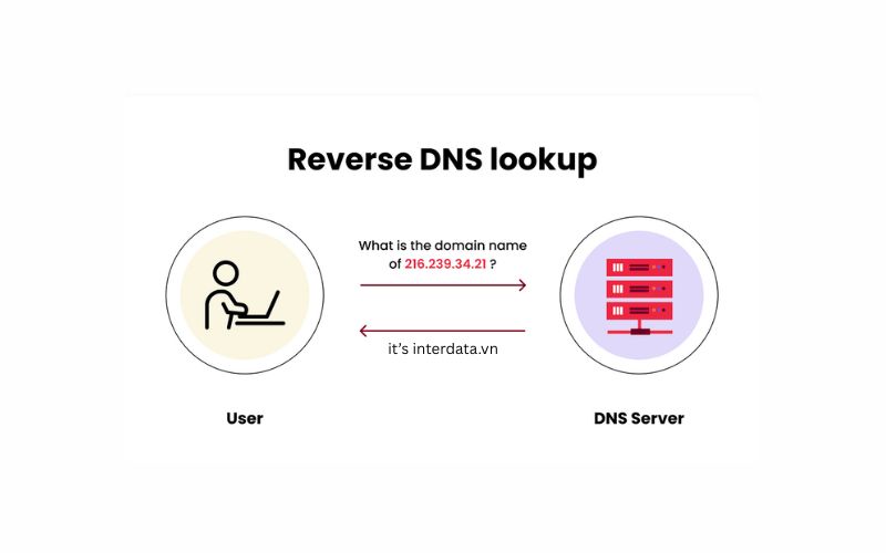 Reverse DNS là gì? Dùng làm gì? Vai trò & Cách check Reverse DNS